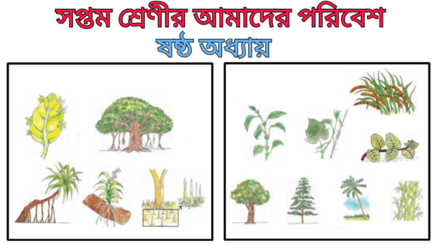 WB Class 7 Poribesh Chapter 6 Questions and Answars Sure Success ...
